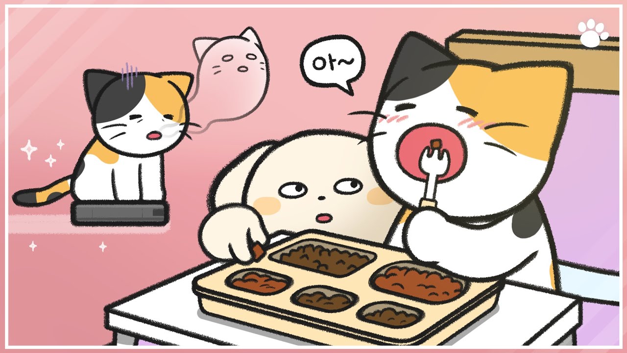 비엘엔에이치 영상 마케팅 - 비마이펫